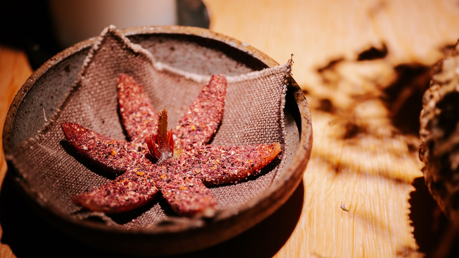 Do river safari guides in Maasai Mara speak multiple languages ...